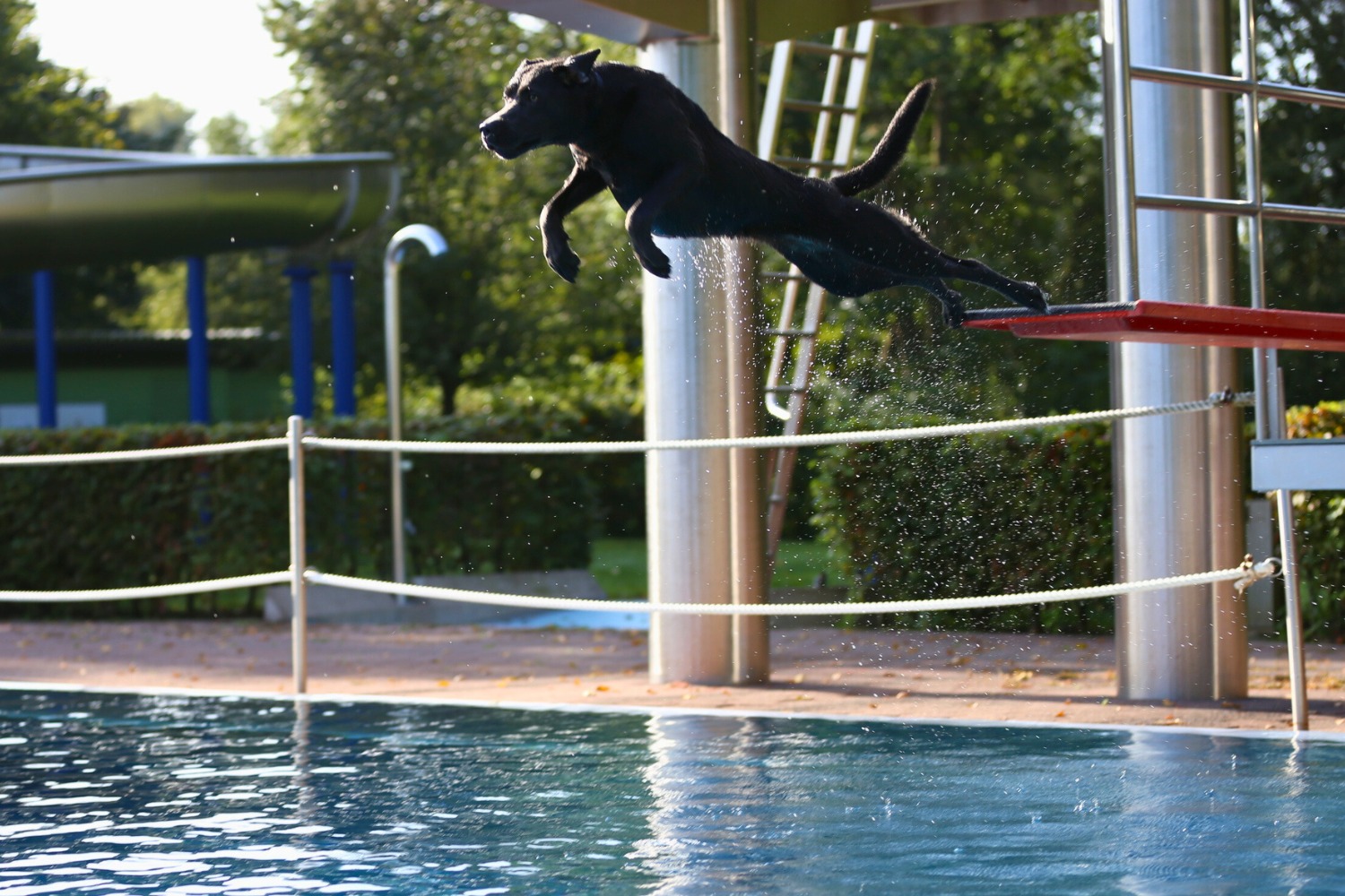 Saisonfinale im Bega Bad | ONLINE-ZEITUNG FÜR OWL